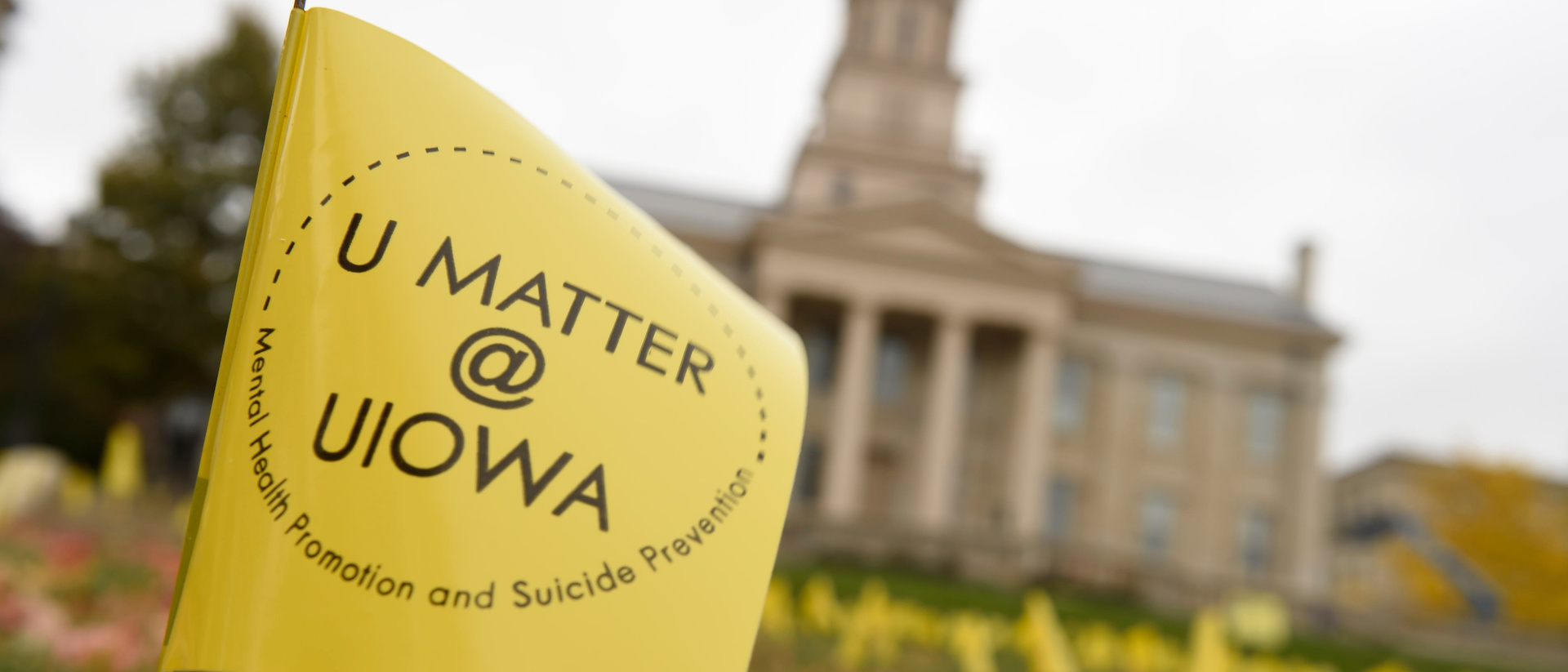 Office of the Executive Vice President and Provost | The University of Iowa